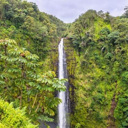 Kailua-Kona, Hawaii Cruises - Excursions, Reviews, & Photos ...