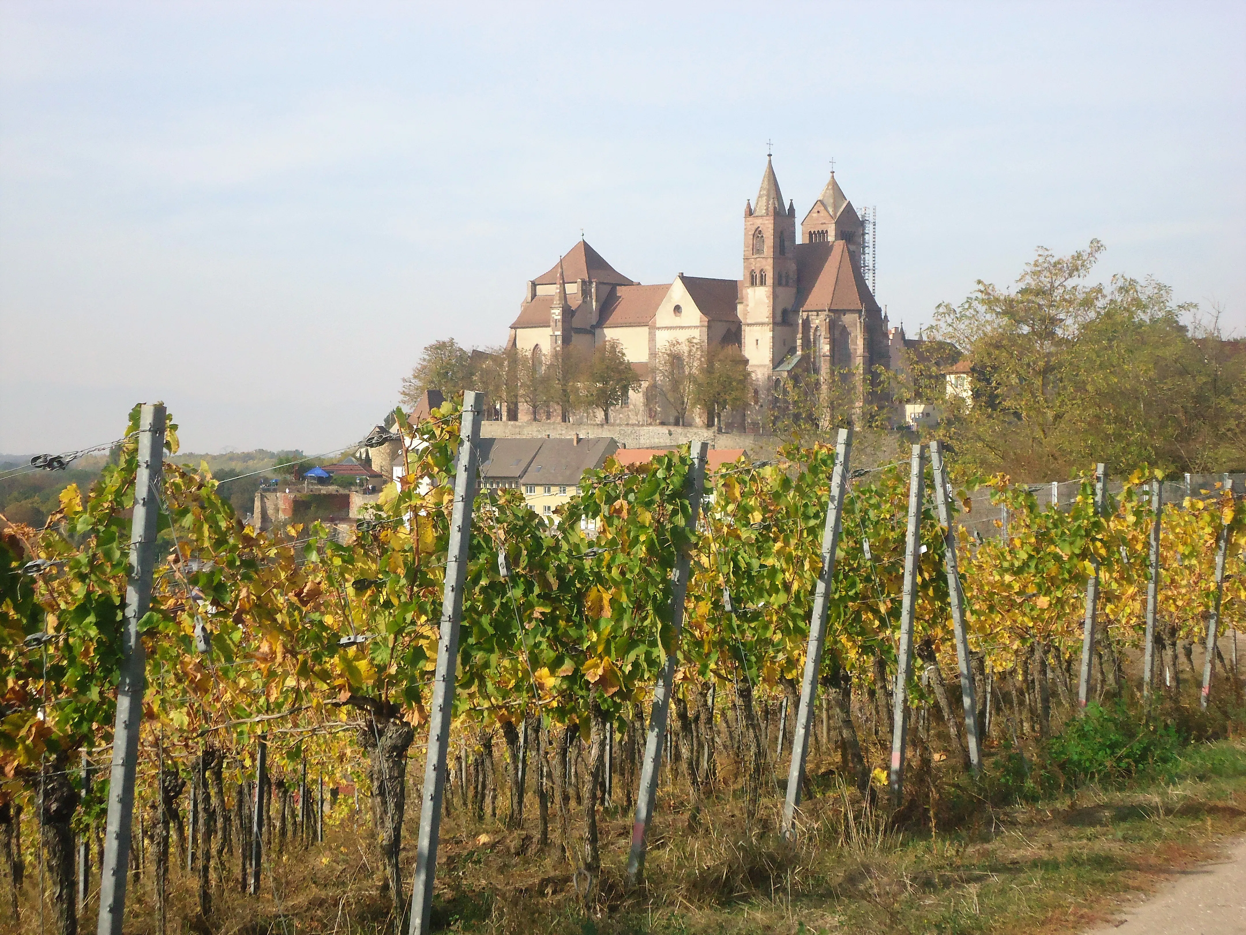 Breisach Am Rhine, Germany Cruises - Excursions, Reviews, & Photos ...