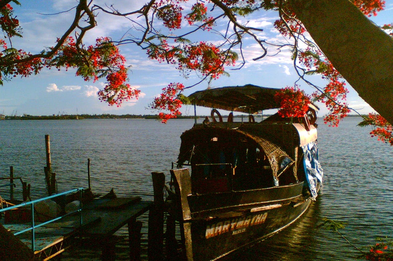 Cochin, India Cruises - Excursions, Reviews, & Photos - Cruiseline.com