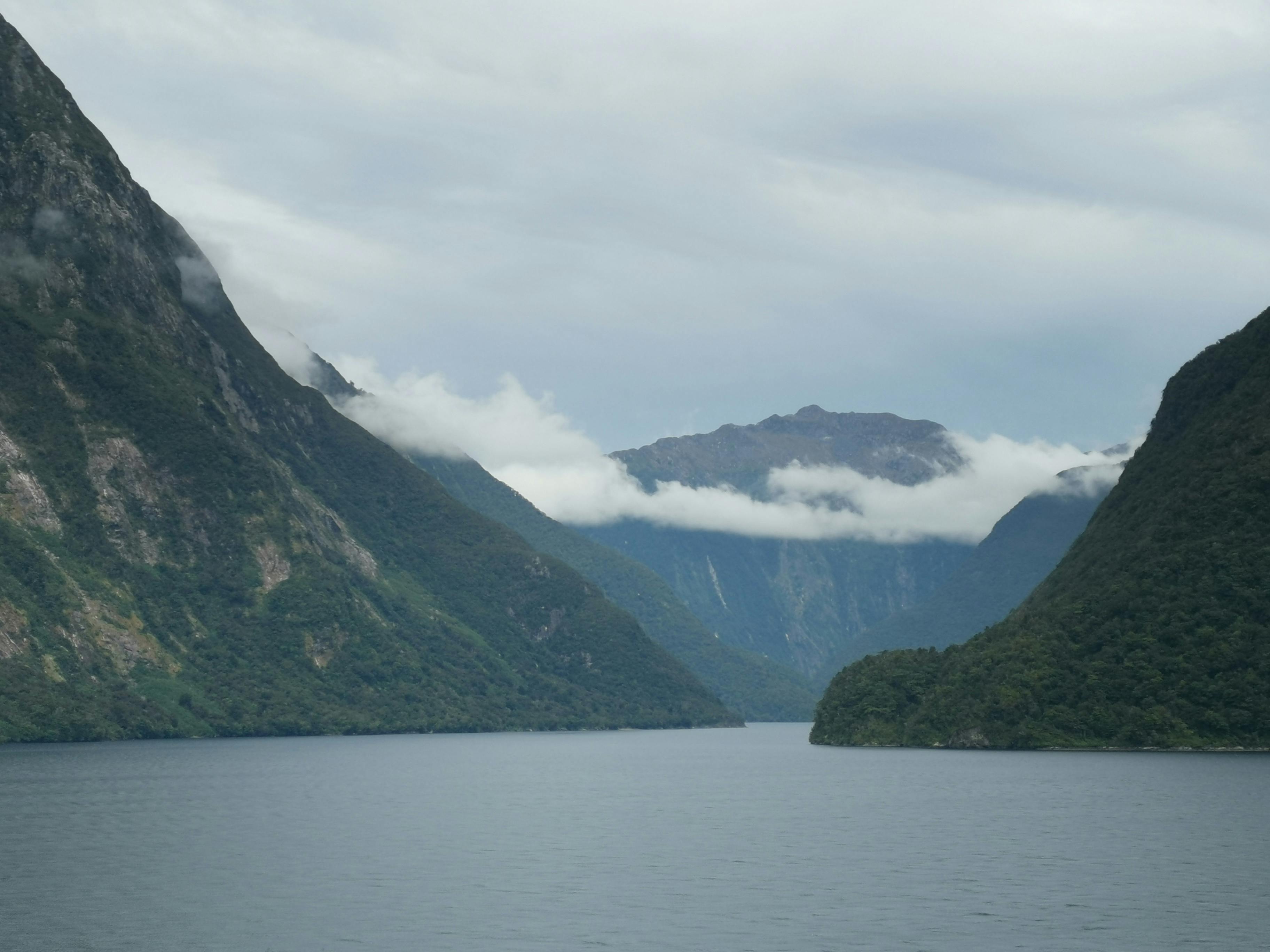 Cruise Dusky Sound Cruises - Excursions, Reviews, & Photos - Cruiseline.com