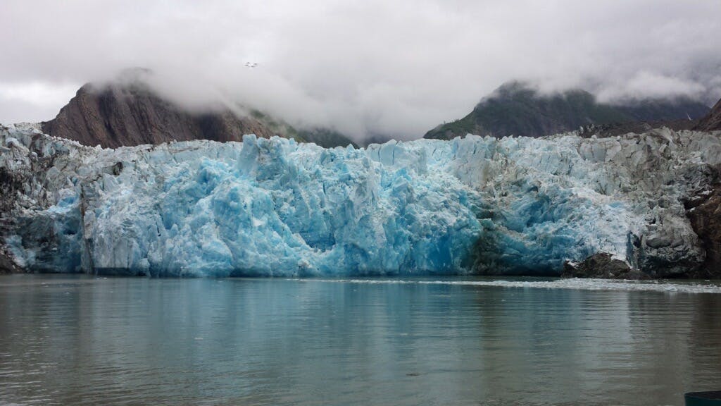 Cruise Tracy Arm & Endicot Arm Cruises - Excursions, Reviews, & Photos ...