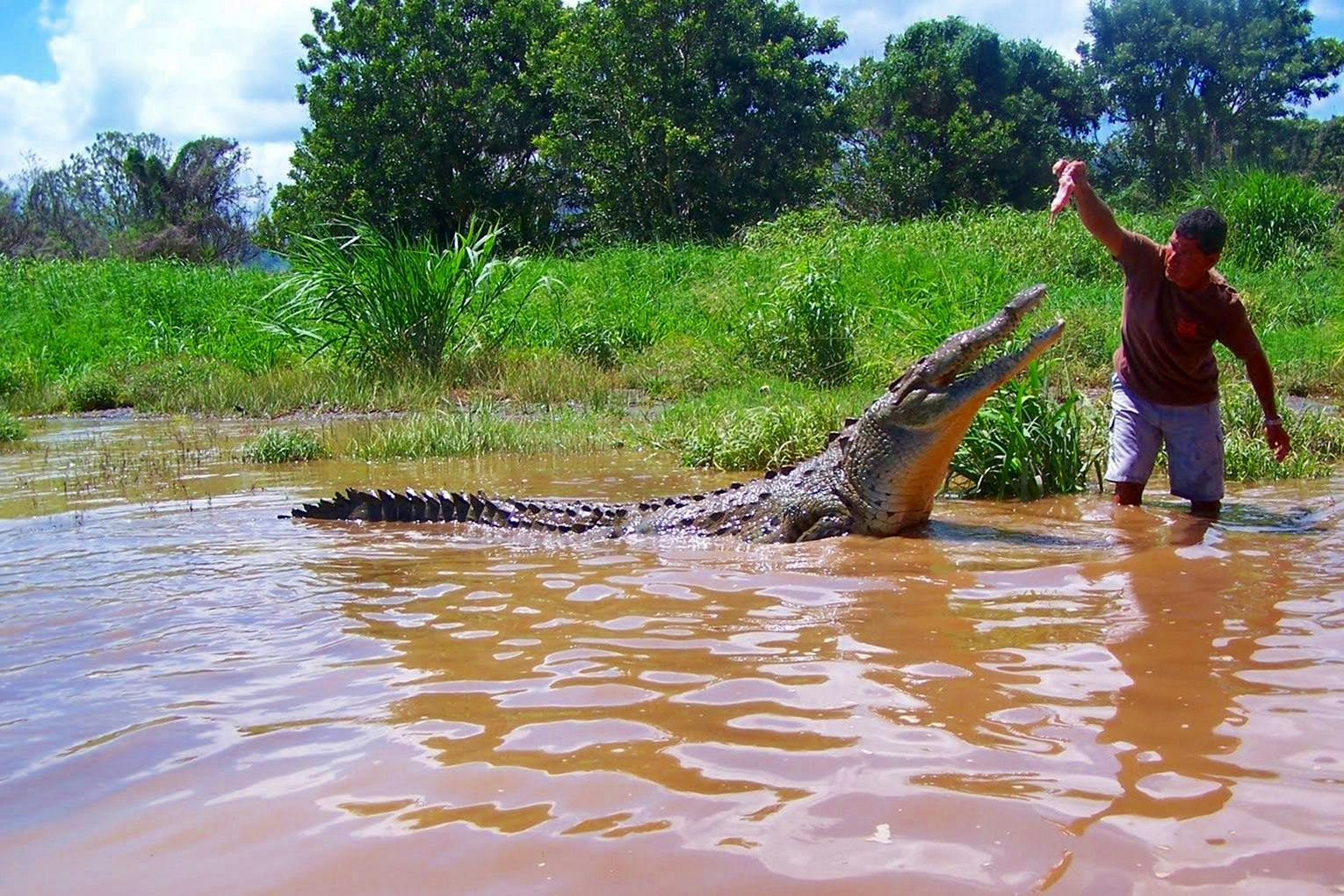 Curu (Reserve), Costa Rica Cruises - Excursions, Reviews, & Photos ...