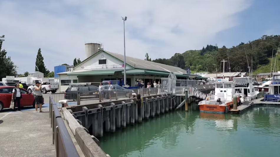 Gisborne, New Zealand Cruises - Excursions, Reviews, & Photos ...