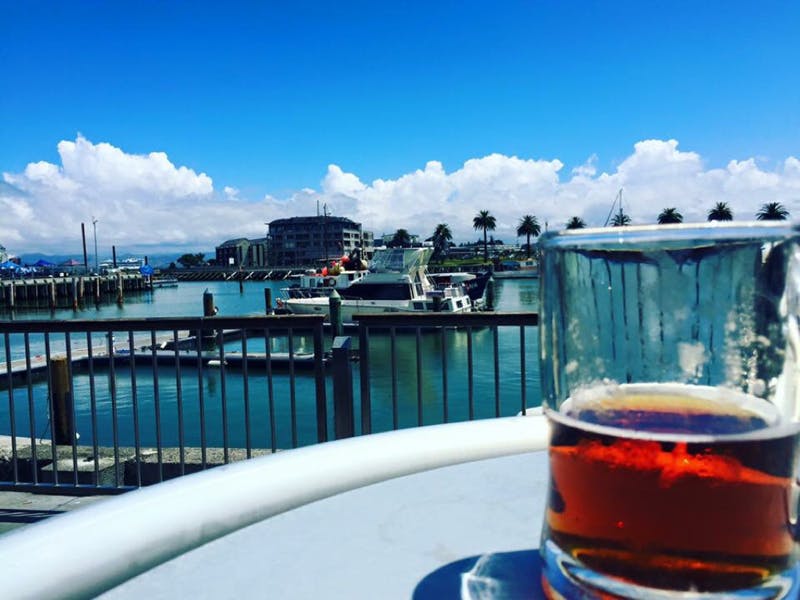 Gisborne, New Zealand Cruises - Excursions, Reviews, & Photos ...