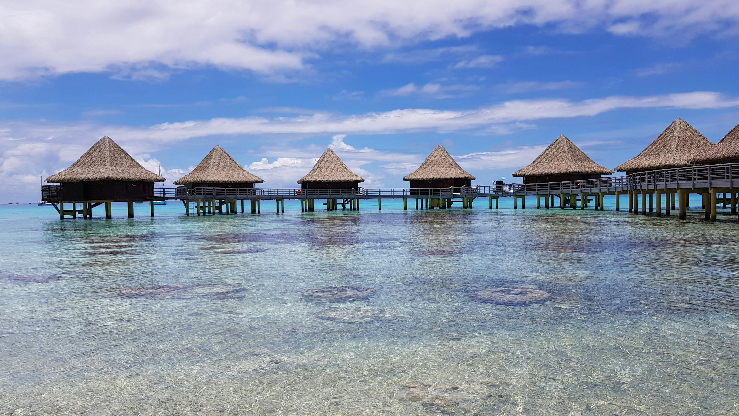 Rangiroa, French Polynesia Cruises - Excursions, Reviews, & Photos ...