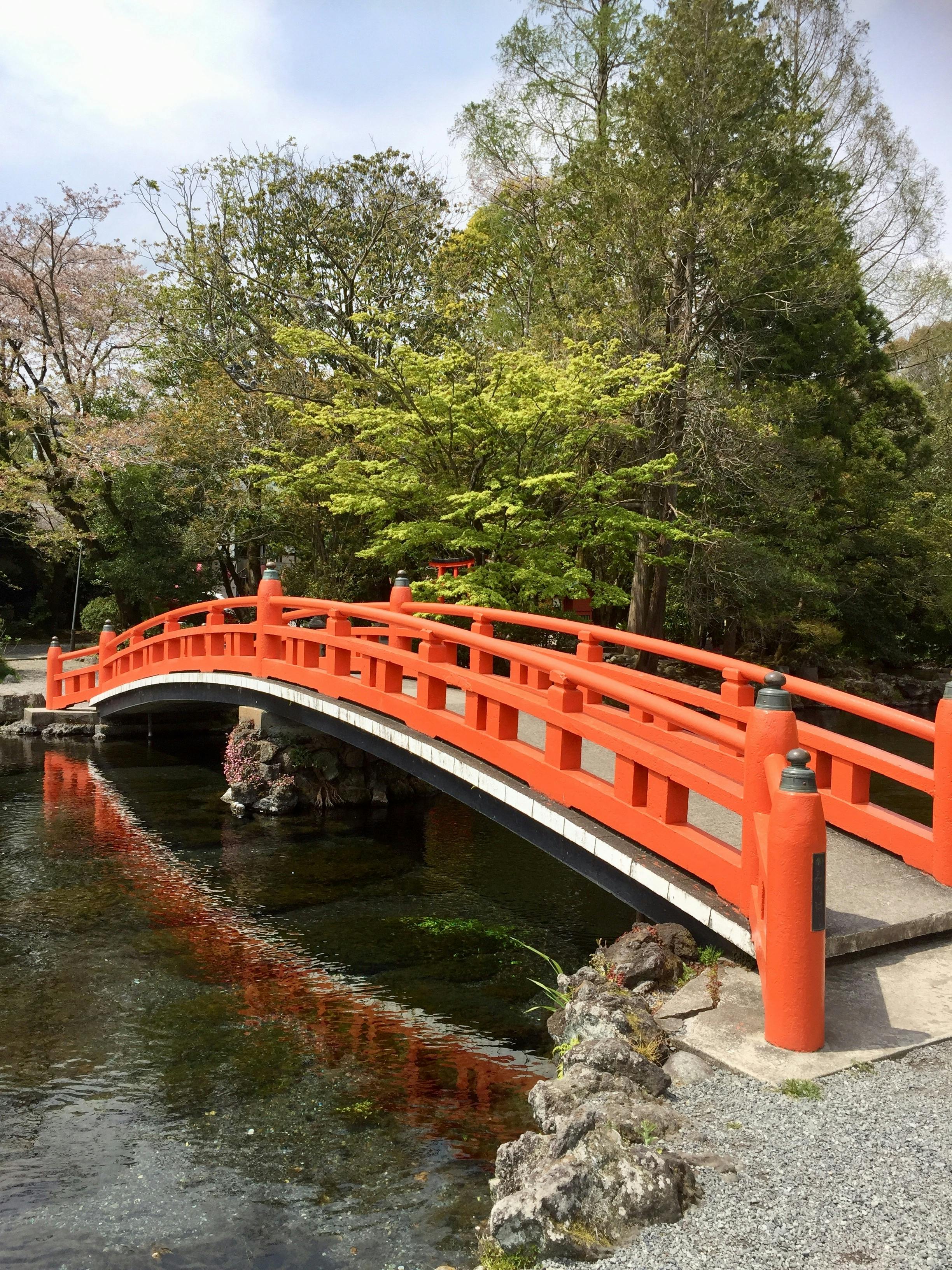 Shimizu, Japan Cruises - Excursions, Reviews, & Photos - Cruiseline.com