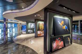 Things to Do on MSC Seashore - Onboard Activities & Entertainment