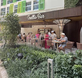 Bar Venues onboard the Star of the Seas - Cruiseline.com